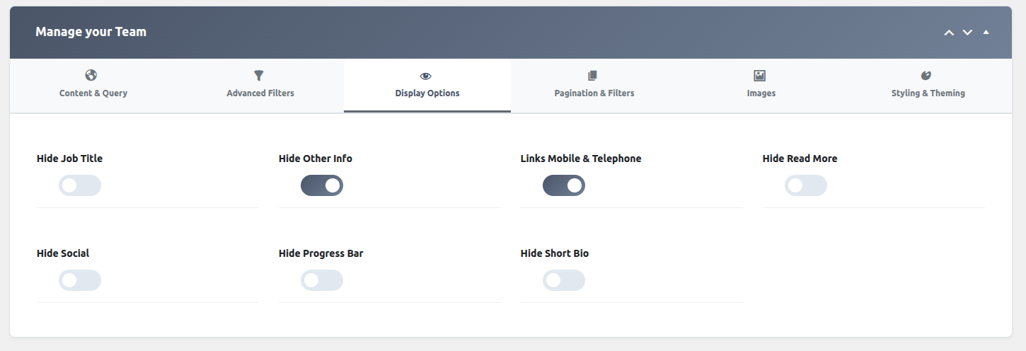 How to Build Custom Team Shortcodes (The Layout Generator) - WordPress ...