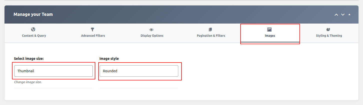 How to Modify Team Member Image Sizes - WordPress Team Manager ...
